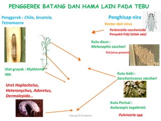 Hama & Penyakit Tanaman Tebu | PPT
