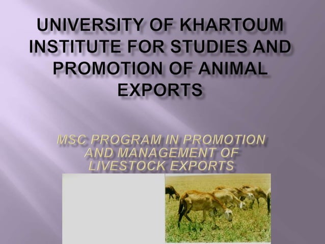 Hamari sheep | PPSX