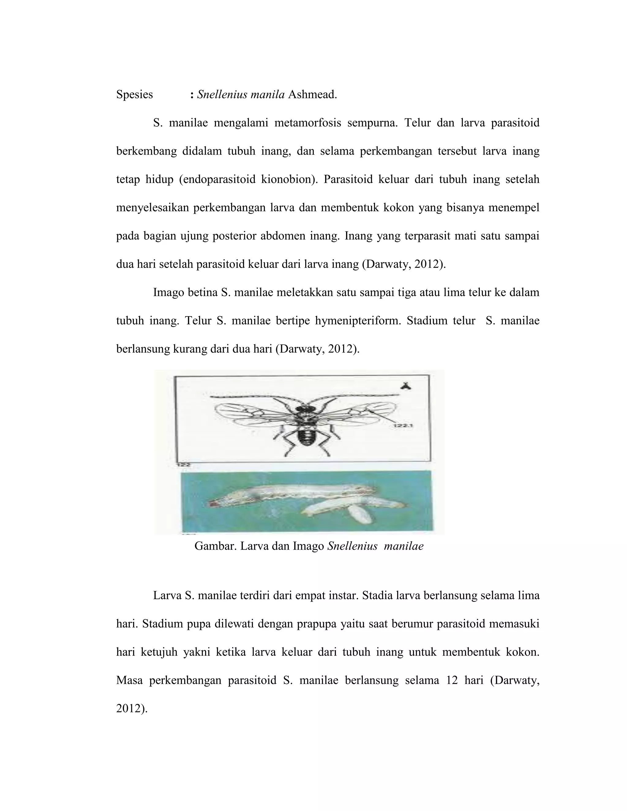 Hama Spodoptera litura dan Snellenius manila | DOCX