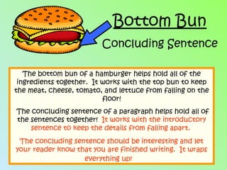 Hamburger paragraph | PPT