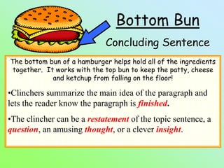 Hamburger paragraph | PPT
