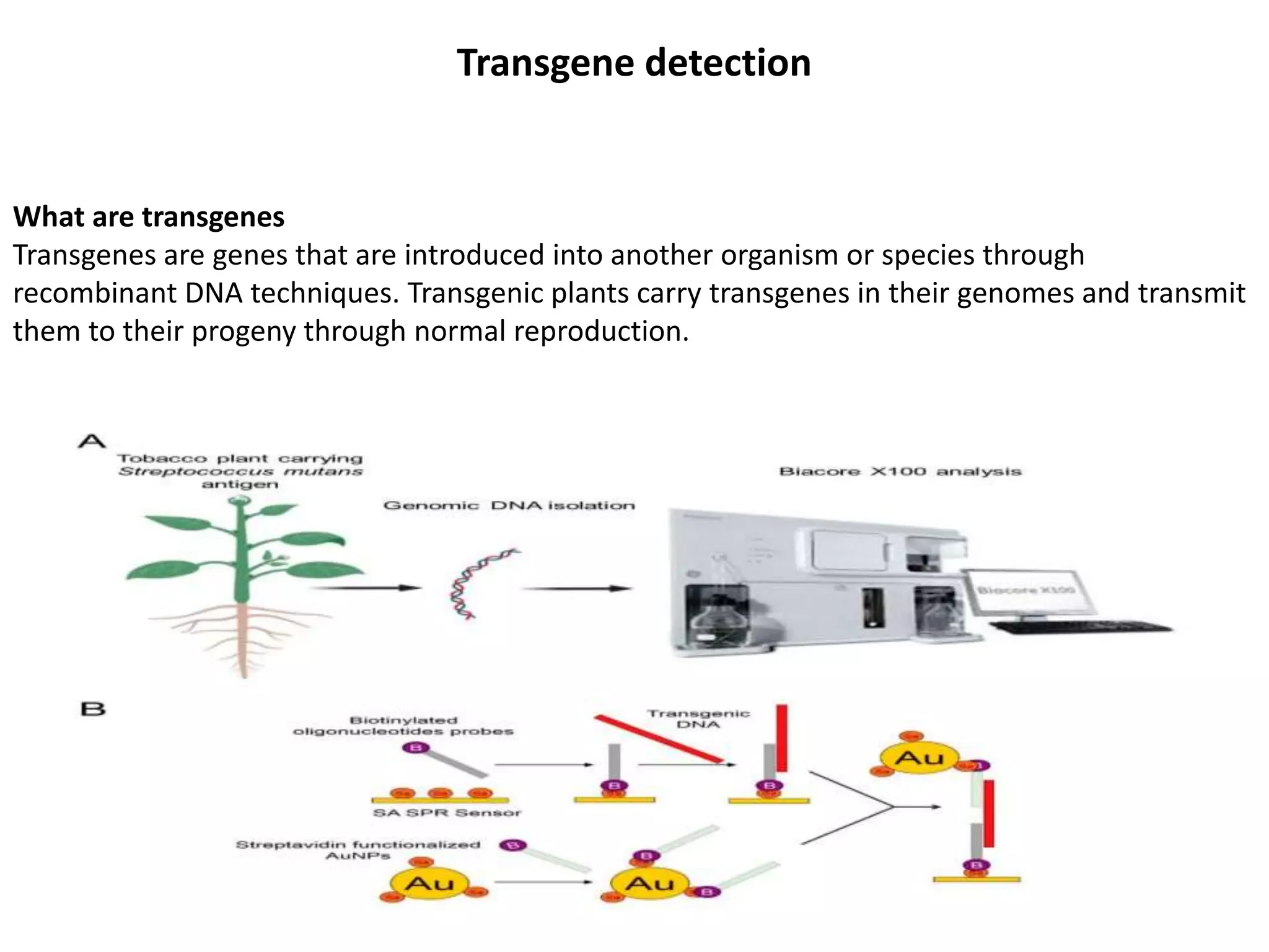 Mechanism of gene bank ,its maintenance | PPTX