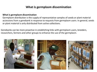 Mechanism of gene bank ,its maintenance | PPTX