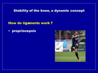 Hamelynck Kj. Stability Of The Knee, A Dynamic Concept | PPT