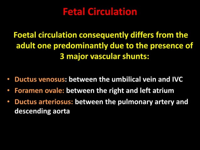 THE BLOOD CIRCULATION IN FETUS | PPT