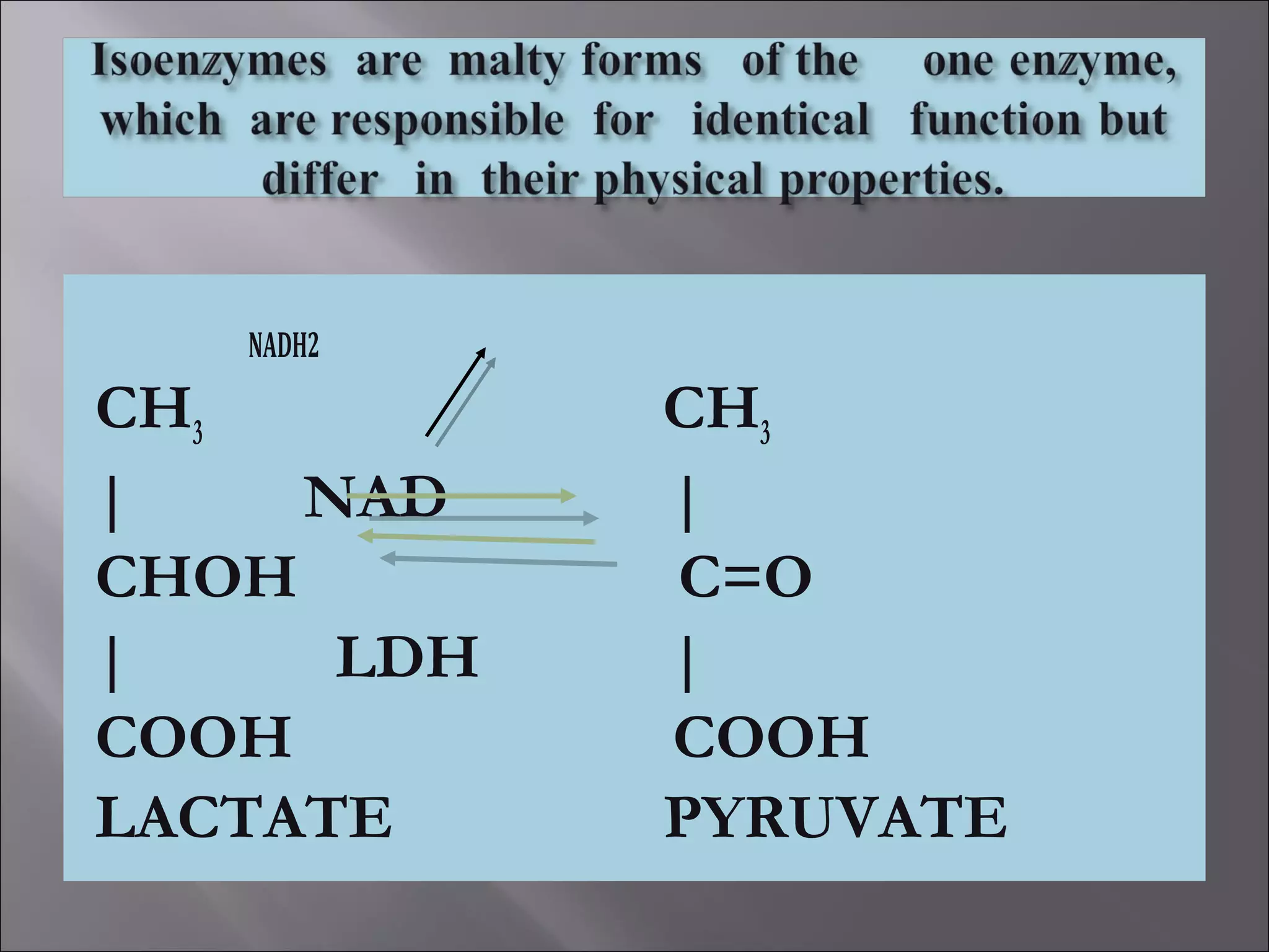 Enzymes Structural & Functional Organization Of Cell & Functions ...