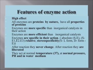 Enzymes Structural & Functional Organization Of Cell & Functions ...