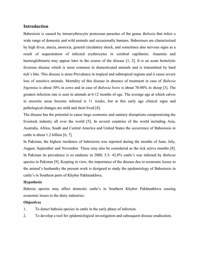 How To Write A Research Proposal How To Write A Research Proposal