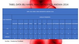 Ibu Hamil Beresiko Anemia | PPT