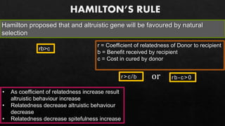 Hamilton rule with numerical | PPTX