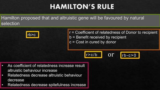 Hamilton rule with numerical | PPT