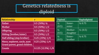 Hamilton rule with numerical | PPT