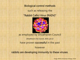 Hamilton j 15221809_edc171_assessment 2b | PPTX