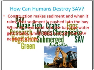 Saving SAV Isn't a Drag | PPT