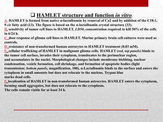 Hamlet against cancer... | PPTX