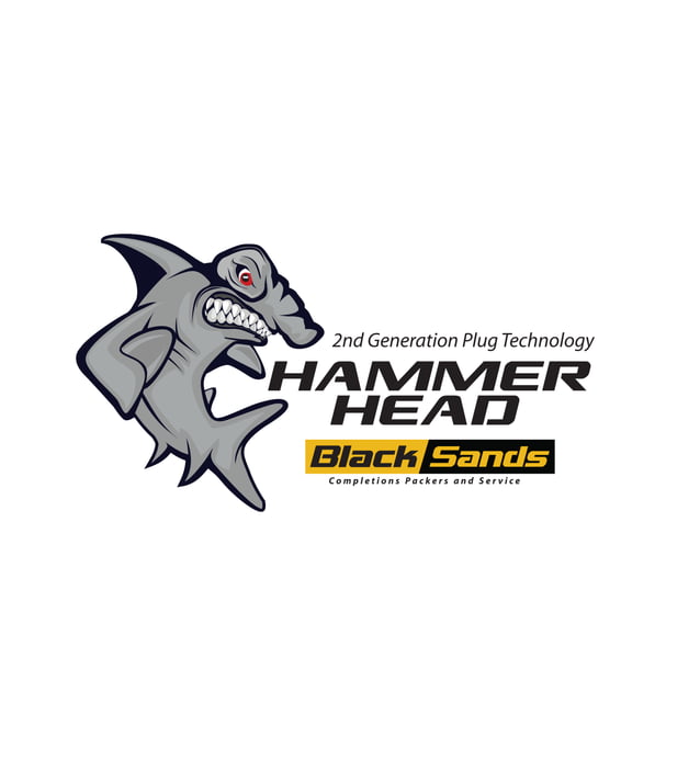 Hammerhead logo | PDF