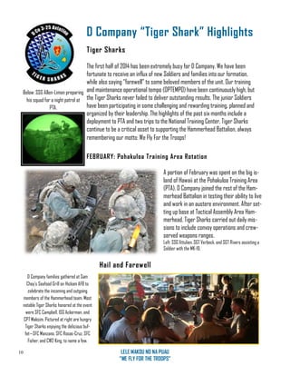 3-25 AVN REGT Hammerhead news | PDF