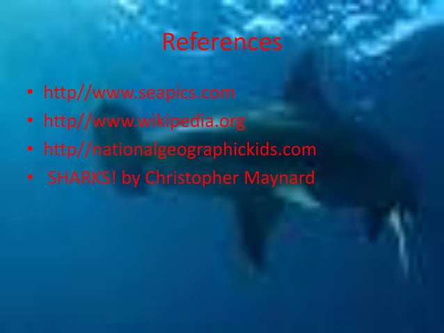 Hammerhead Sharks | PPT