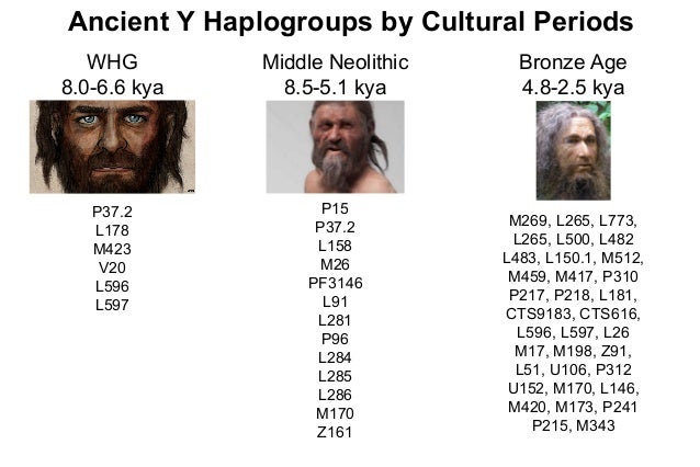 R1b and the People of Europe: An Ancient DNA Update
