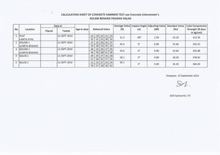 Hammer test report | PDF