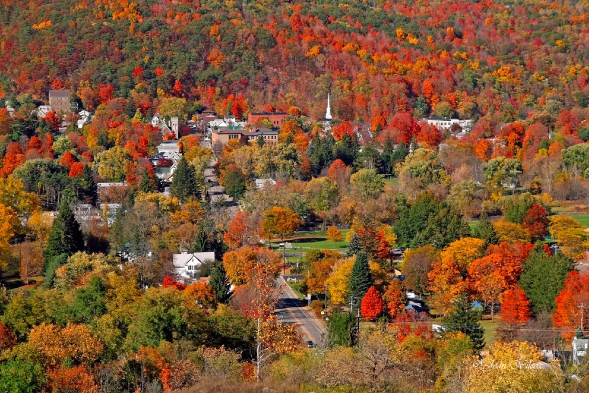Autumn Village | PPT