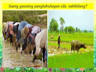 Hamon at oportunidad sa mga gawaing pangkabuhayan ng bansa | PPT