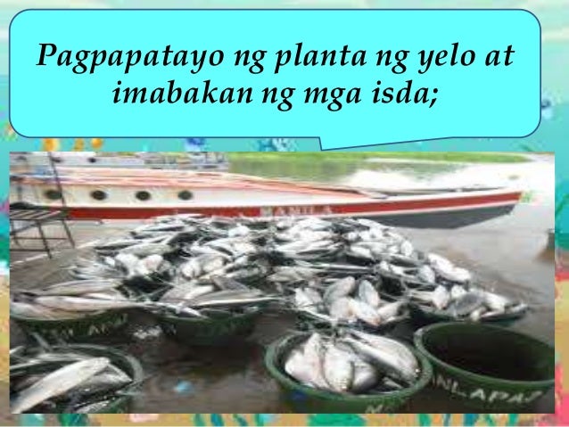 Hamon at oportunidad sa mga gawaing pangkabuhayan ng bansa