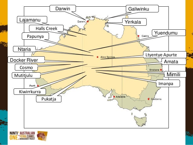 Karl Hampton: 'Aboriginal community views on feral camel impacts and