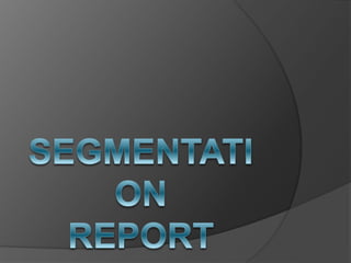 SEGMENTATION REPORT.pptx