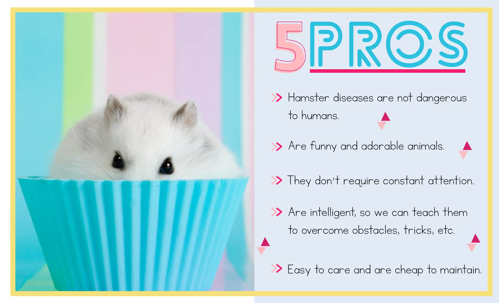 Hamster | PDF
