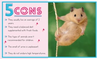 Hamster | PDF