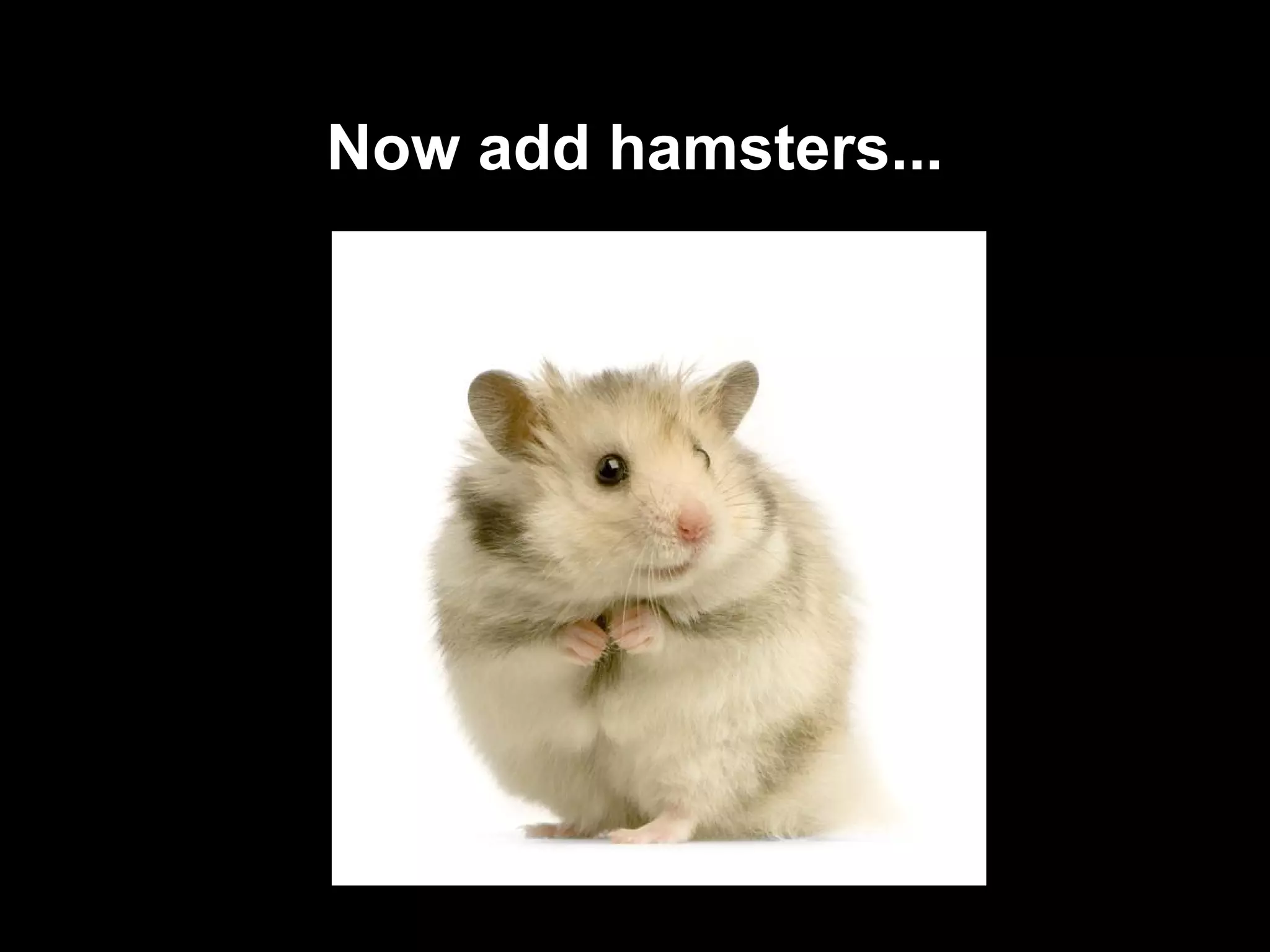 Hamster battle | PDF
