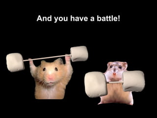 Hamster battle | PDF