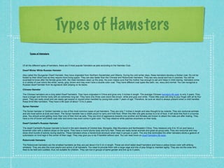 Hamsters ppt | KEY