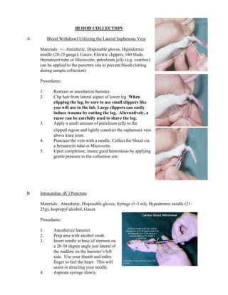 Hamster workshop handout | PDF