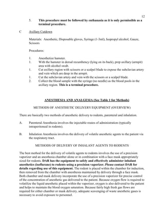 Hamster workshop handout | PDF