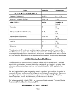 Hamster workshop handout | PDF