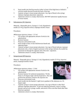 Hamster workshop handout | PDF