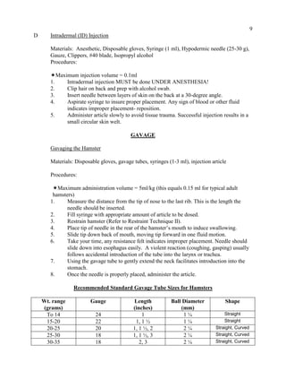 Hamster workshop handout | PDF