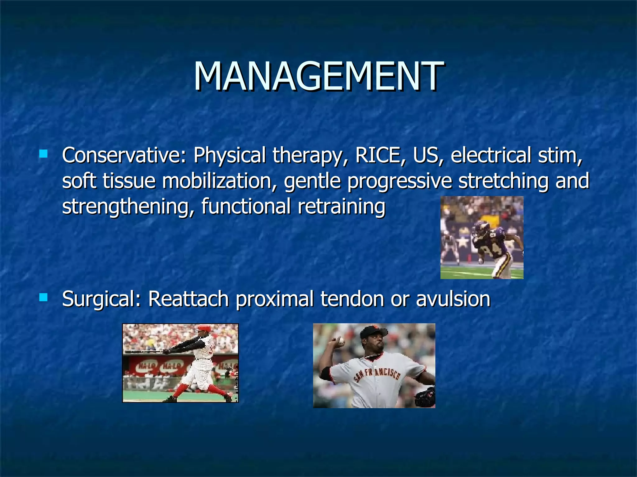 Hamstring Avulsion Repair Rehabilitation | PPT