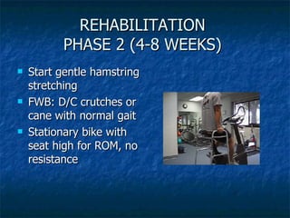 Hamstring Avulsion Repair Rehabilitation | PPT