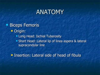 Hamstring Avulsion Repair Rehabilitation | PPT