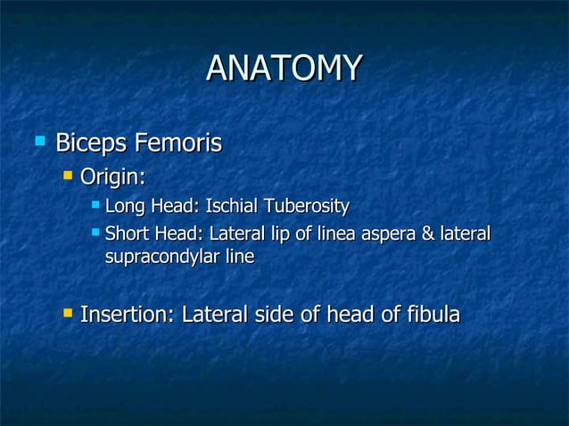 Hamstring Avulsion Repair Rehabilitation | PPT