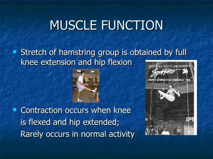 Hamstring Avulsion Repair Rehabilitation