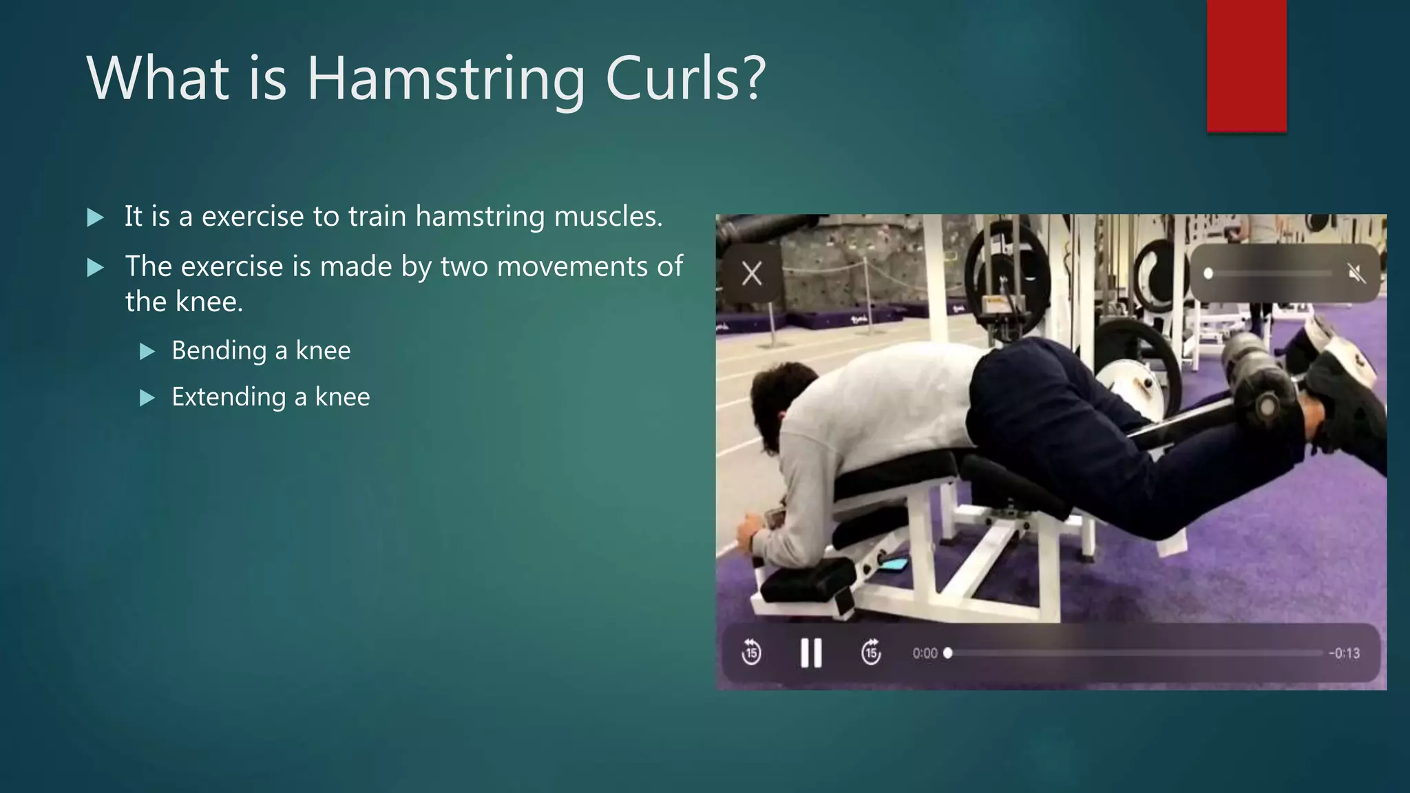 Hamstring Curl | PPTX