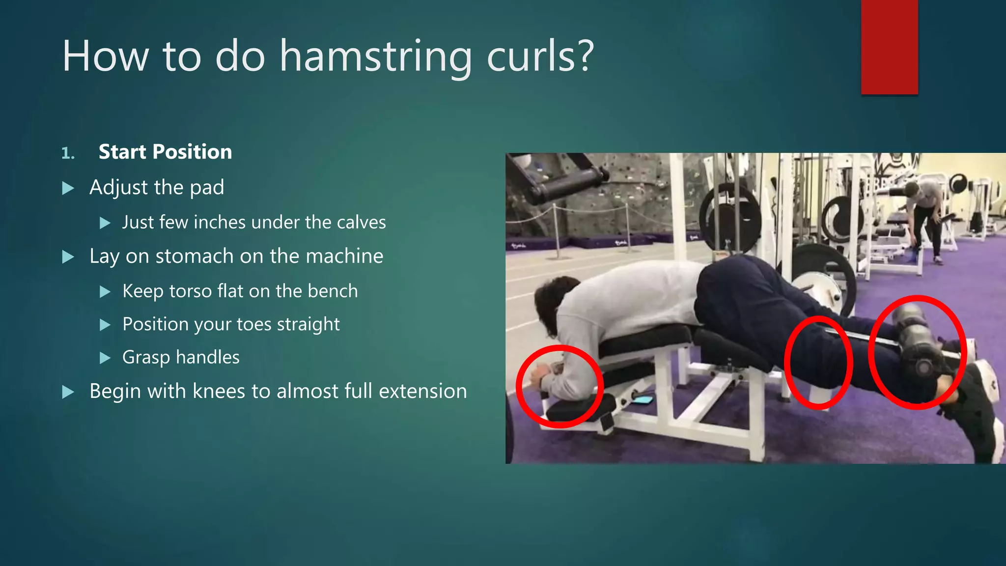 Hamstring Curl | PPTX