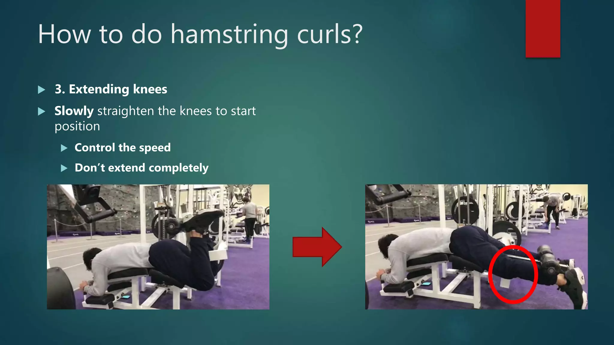 Hamstring Curl | PPTX
