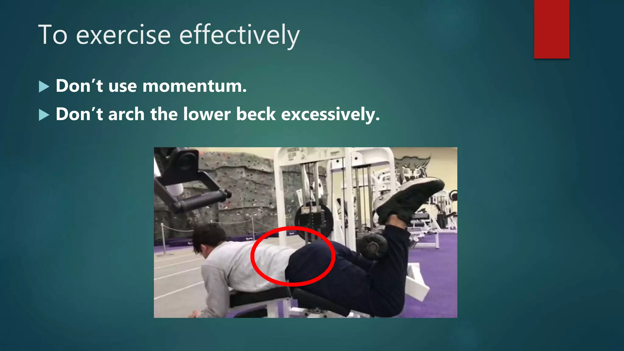 Hamstring Curl | PPTX