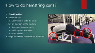 Hamstring Curl | PPTX