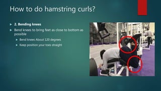 Hamstring Curl | PPTX